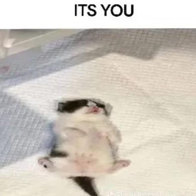 Codeforces Round 1064 (Div.1,Div.2) 个人题解AB,ABCD - 知乎