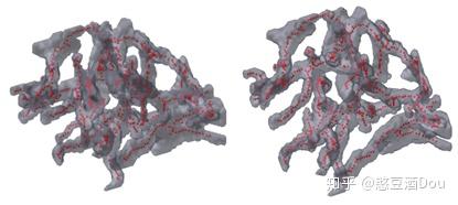 【3D实践】3D模型骨架提取及分析 - 知乎