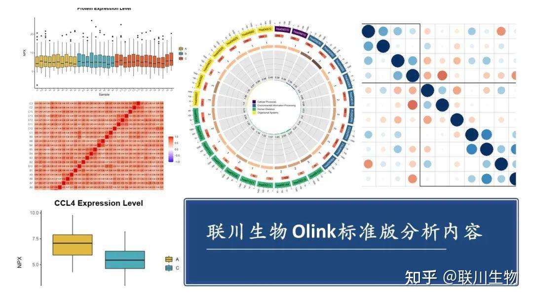 首发代码流出!联川生物olink蛋白质组生信分析泄密先行版,完整内容敬请等待! 知乎