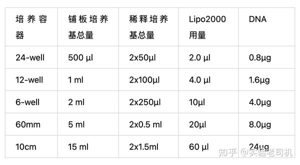 Lipofectamine™ 2000瞬时转染的实验流程 - 知乎