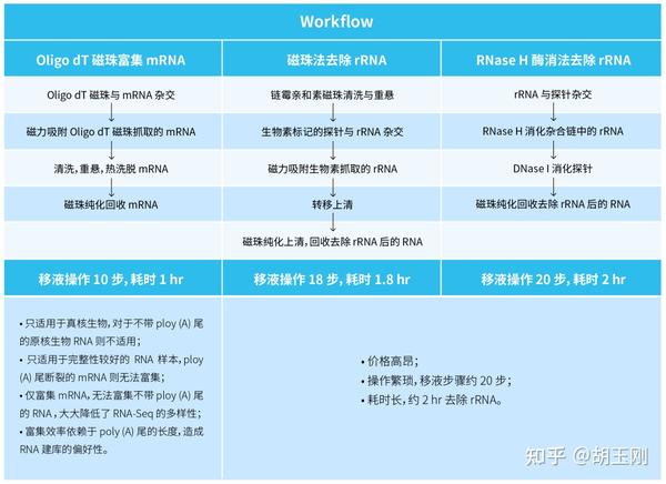 8 分钟一步操作轻松去除 rRNA - 知乎