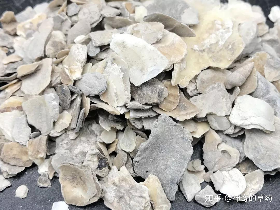 8种贝壳类中药材，高清大图赏析（甲香、石决明、牡蛎、珍珠...） - 知乎