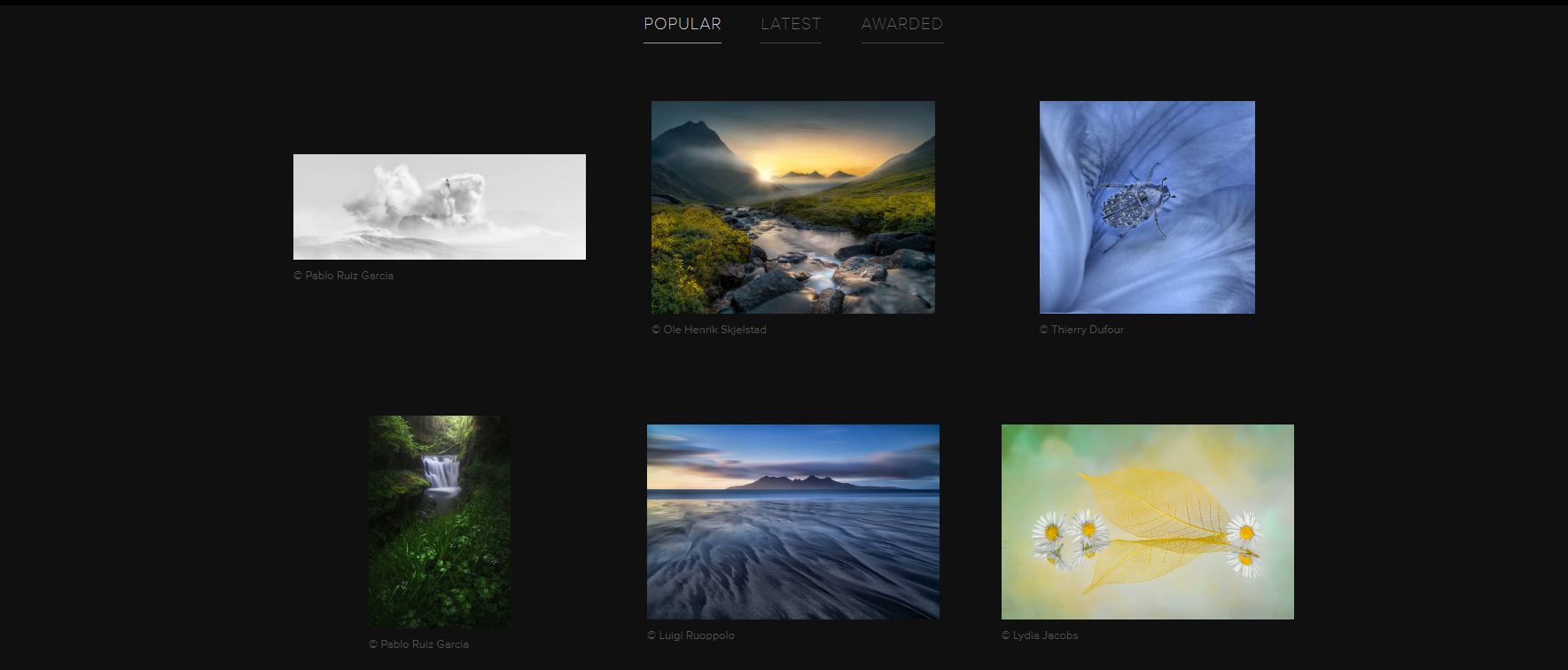 居然有如此宝藏的摄影网站？——可能是目前最全面的1x.com中文使用指南（视频版） - 知乎