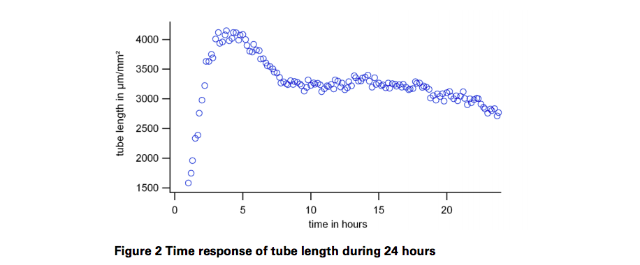 Matrigel-based tube formation assay 检测条件培养基的新生血管能力 - 知乎