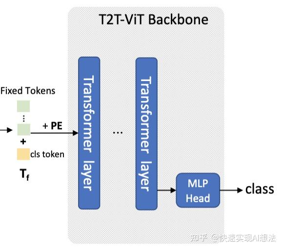 【视觉 Transformer】超详细解读 T2T-ViT 模型 - 知乎