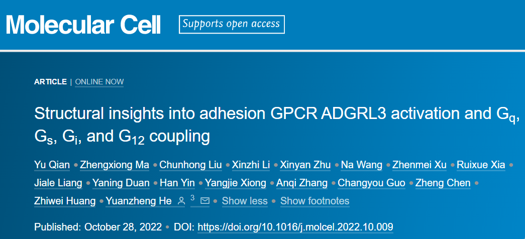 Mol Cell | 哈尔滨工业大学揭示 粘附GPCR激活和G蛋白偶联选择性的潜在分子机理 - 知乎