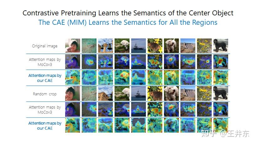 自监督表征预训练之掩码图像建模：CAE 及其与 MAE、BEiT 的联系 - 知乎