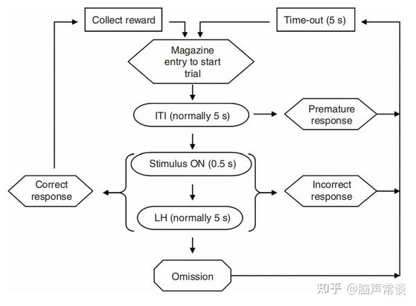 脑声常谈｜五项选择连续反应时间任务实验（5-CSRTT）模型训练方法（以大鼠为例） - 知乎