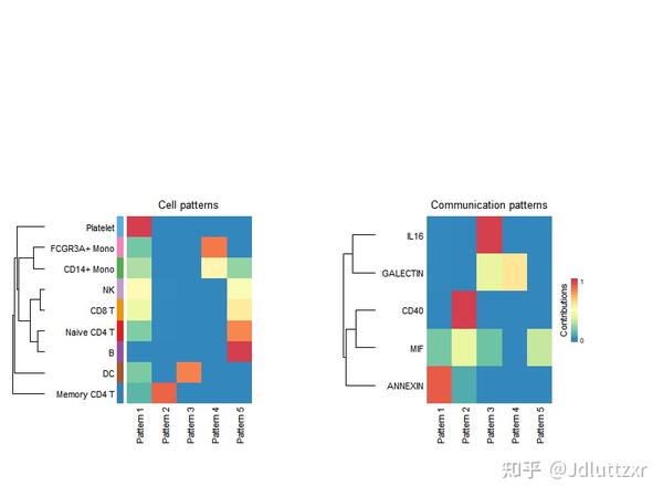 CellChat单细胞细胞通讯studying record - 知乎