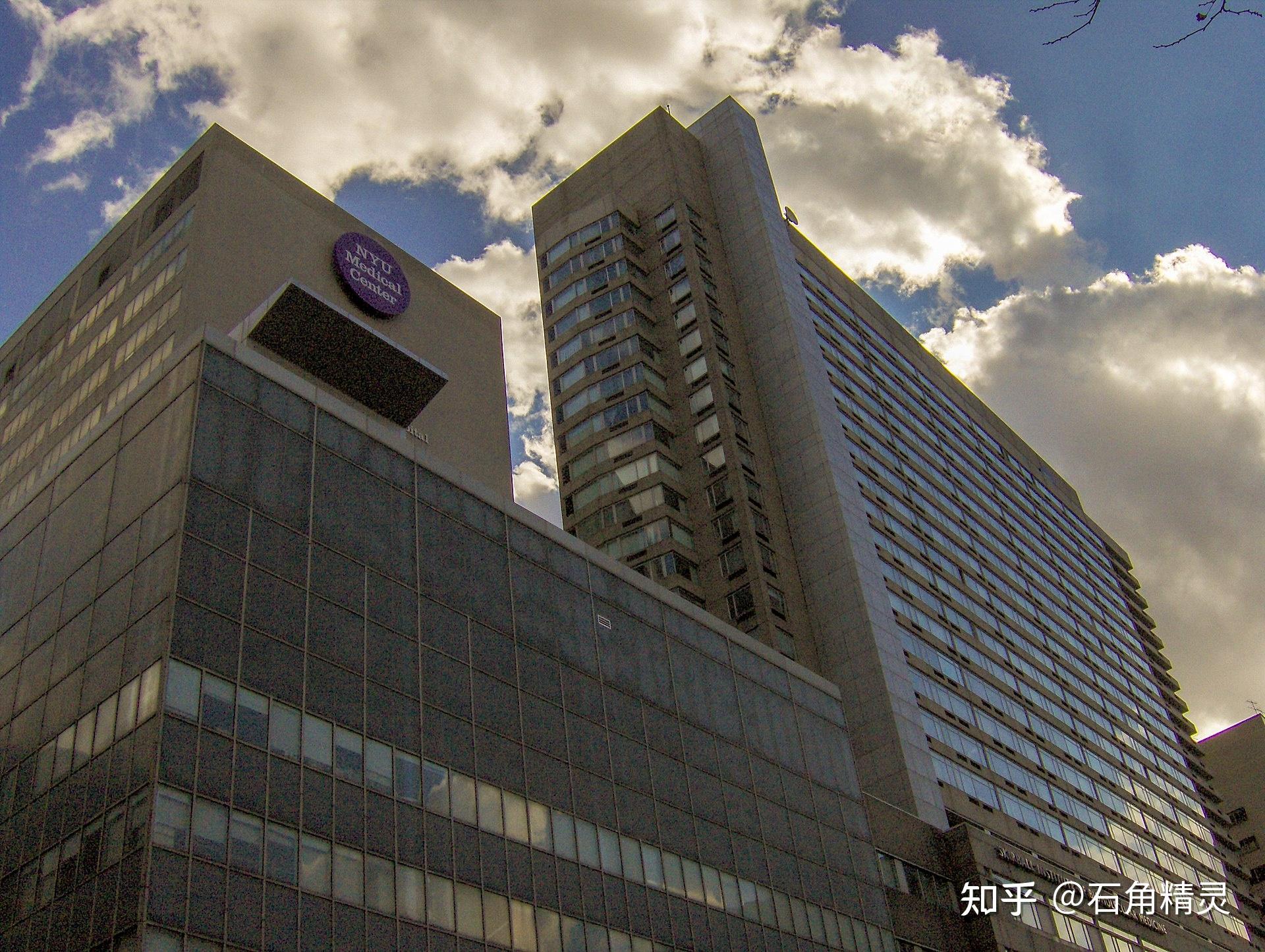 泌尿传奇：纽约大学兰贡健康NYU Langone Health - 知乎