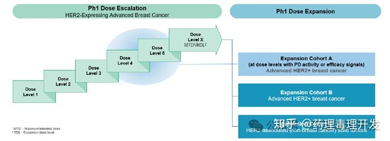 抗体和蛋白降解剂结合能擦出怎样的火花？BMS、Merck和Seagen为何重金入场？能与ADC一较高下吗？ - 知乎