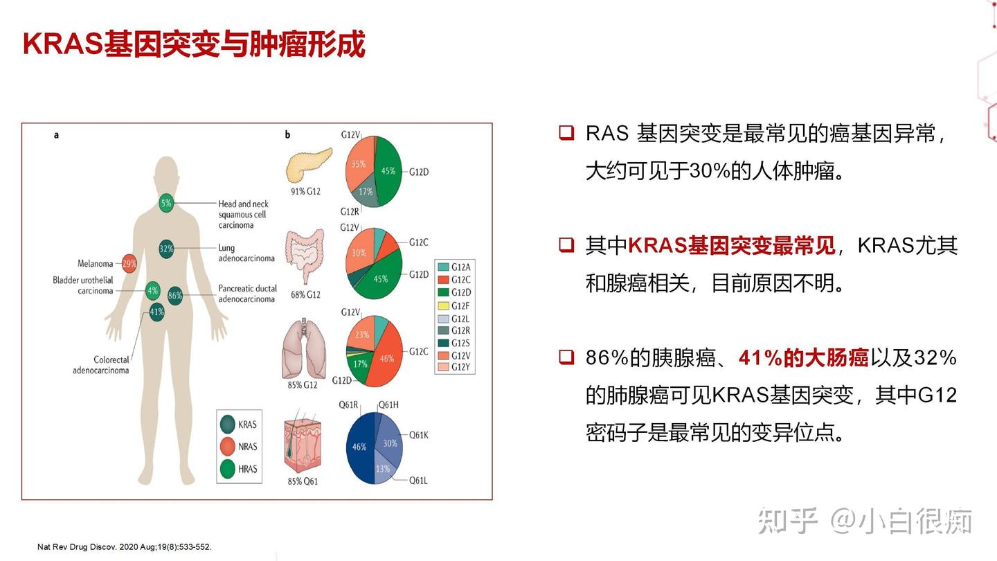 肠癌KRAS基因突变 - 知乎