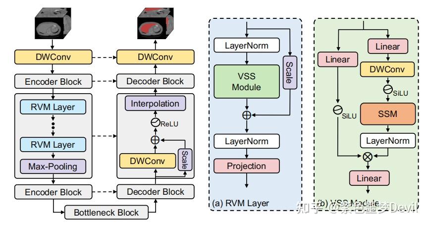 论文精读01|LightM-UNet: Mamba Assists in Lightweight UNet for Medical Image Segmentation - 知乎