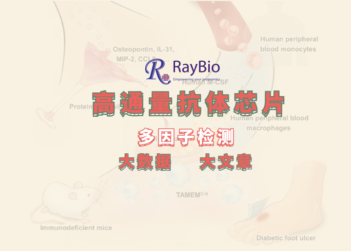 EMBO Molecular Medicine（IF：14.260）|RayBio抗体芯片助力糖尿病患者伤口修复研究 - 知乎