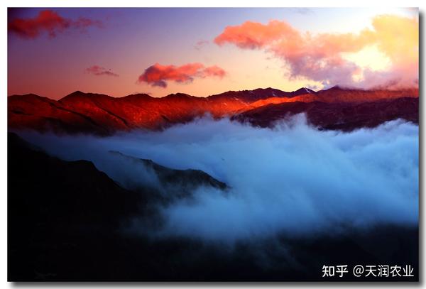 雅安丨云海篇之夹金山 - 知乎