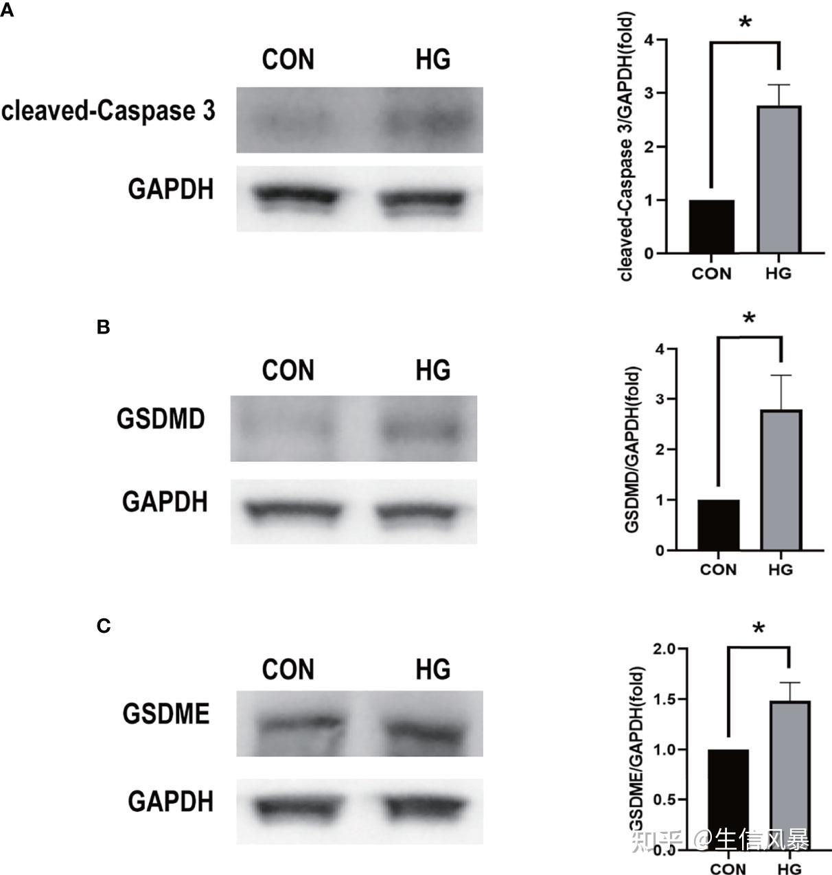 6+细胞焦亡+干湿结合生信思路 - 知乎