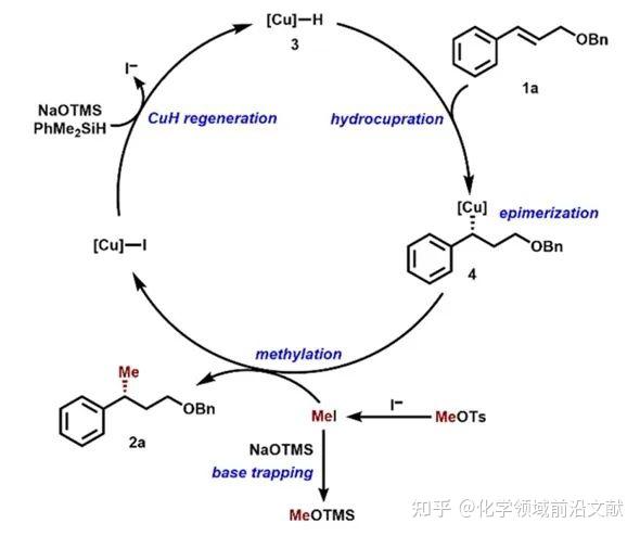 JACS：氢化铜催化的对映选择性烯烃氢甲基化 - 知乎