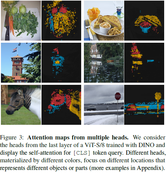 （2021|ICCV，DINO，ViT，自监督学习，知识蒸馏）自监督视觉 Transformer 的新特性 - 知乎
