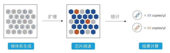 极限突破！数字PCR进入“1小时检测圈” - 知乎