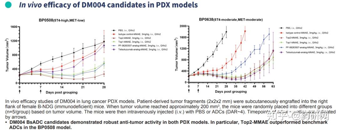 ADC新靶点: TPBG（5T4） - 知乎