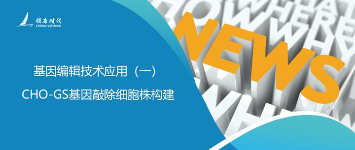 【领康时代CDMO】基因编辑技术应用（一）CHO-GS基因敲除细胞株构建 - 知乎