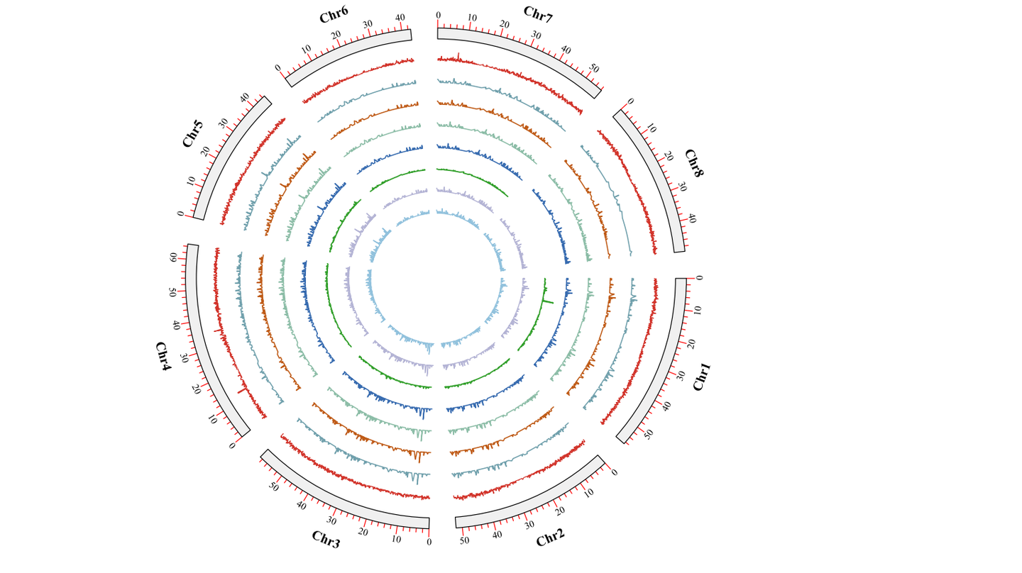 绘制Circos基因圈图 - 知乎