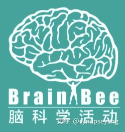2023年Brain Bee脑科学活动即将举办 - 知乎