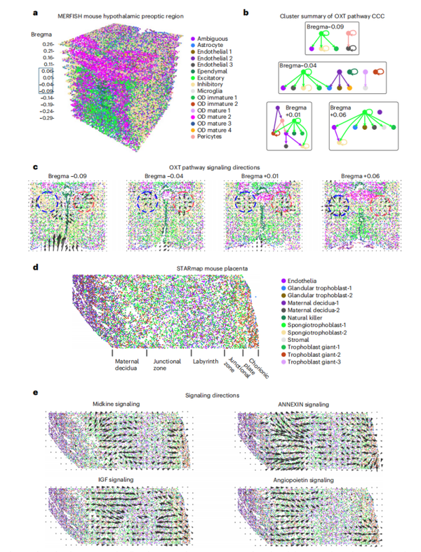 Nat Methods | COMMOT：用于推断空间细胞通讯的方法 - 知乎