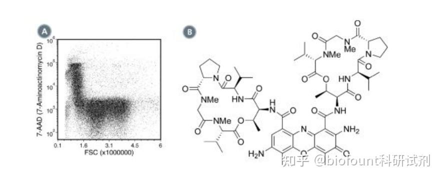 7-Aminoactinomycin D (7-AAD) - 知乎