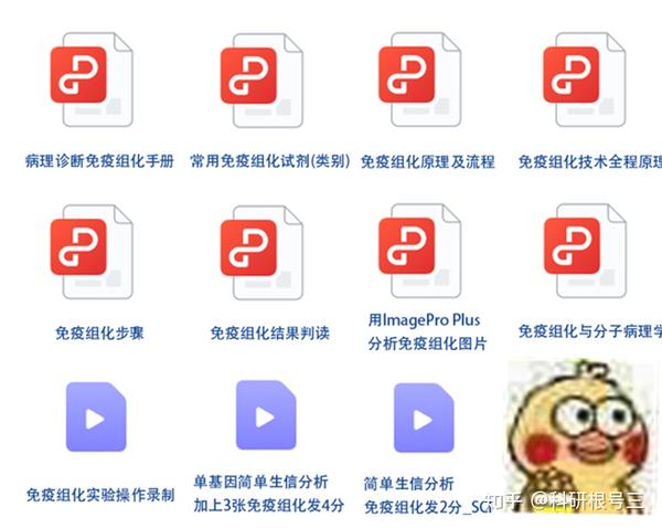 最全的免疫组化实验避坑指南，花样百出的问题一次解决！ - 知乎