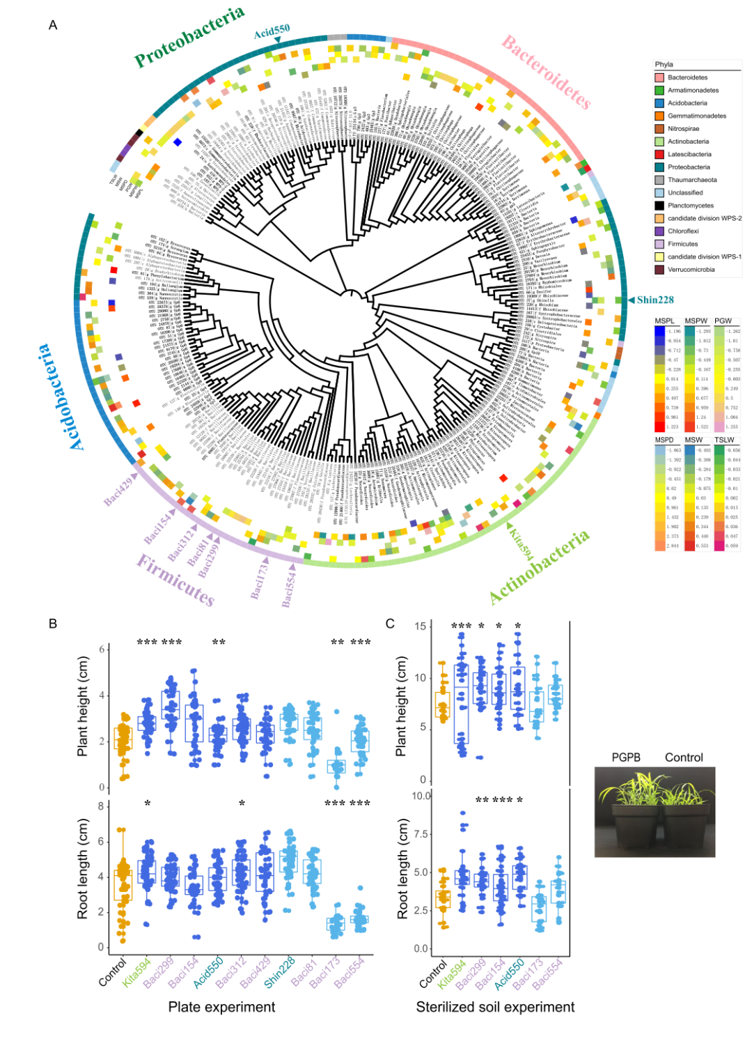 宿主基因组-微生物关联（mGWAS）新思路！ - 知乎