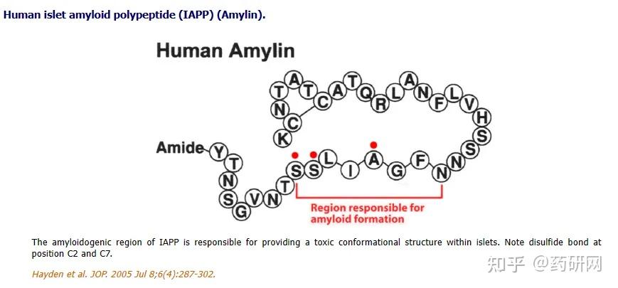 降糖减重新星：Amylin - 知乎