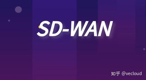 SD-WAN解决国内公司哪些网络问题?—Vecloud - 知乎