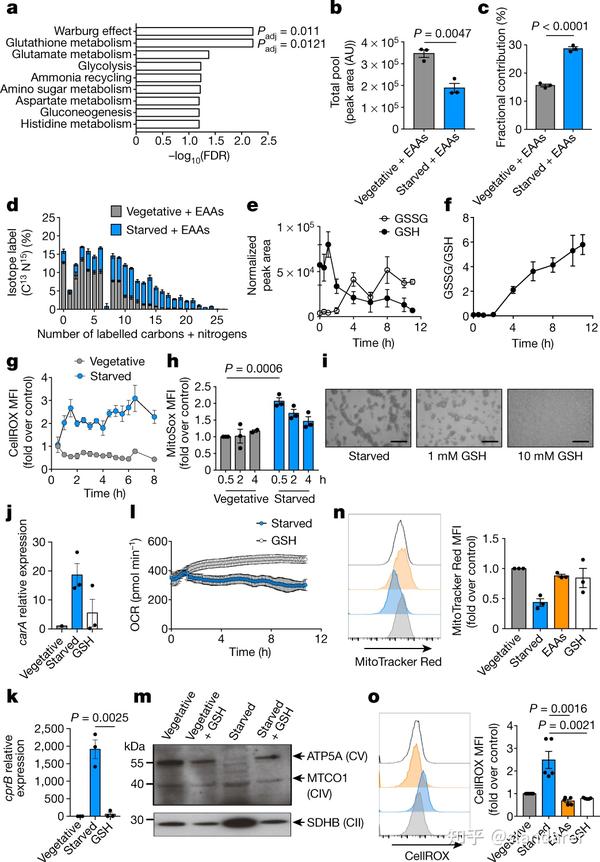 MATLAB | 如何使用MATLAB获取顶刊《Nature》全部绘图(附带近3年全部图像) - 知乎