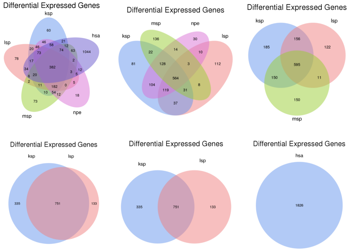 绘制韦恩图（Venn）的在线神器：两种输入模式任选 | OmicStudio - 知乎