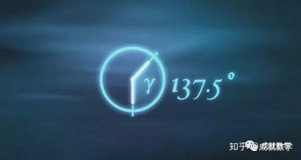 137.5°——最美的角度！不接受反驳！（密恐慎入） - 知乎