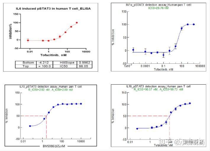 STAT3相关通路及其抑制剂、降解剂研究进展 - 知乎