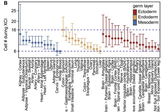 X染色体失活和胚胎发育 - 知乎