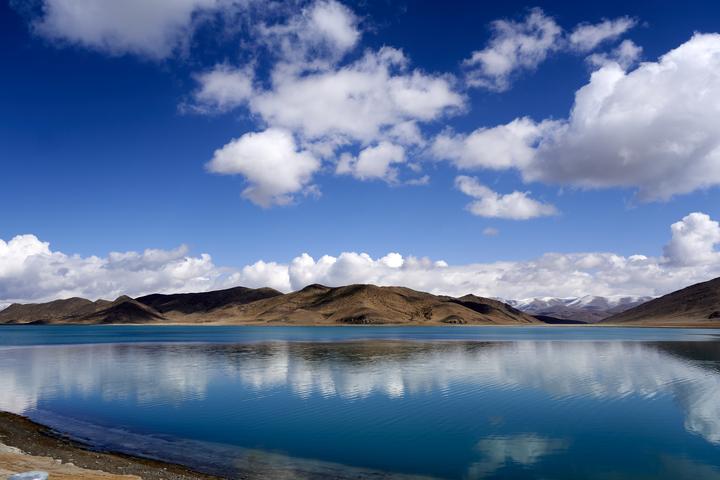 CMU 15-445 Project 4 (Spring 2023) | 并发控制 - 知乎