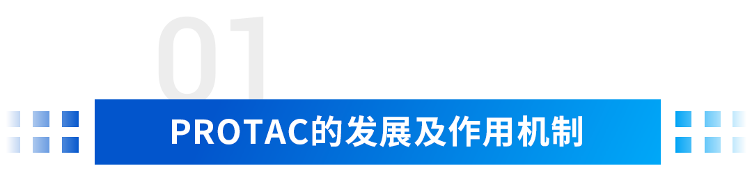 提高PROTAC药物口服生物利用度的7大策略解析 - 知乎