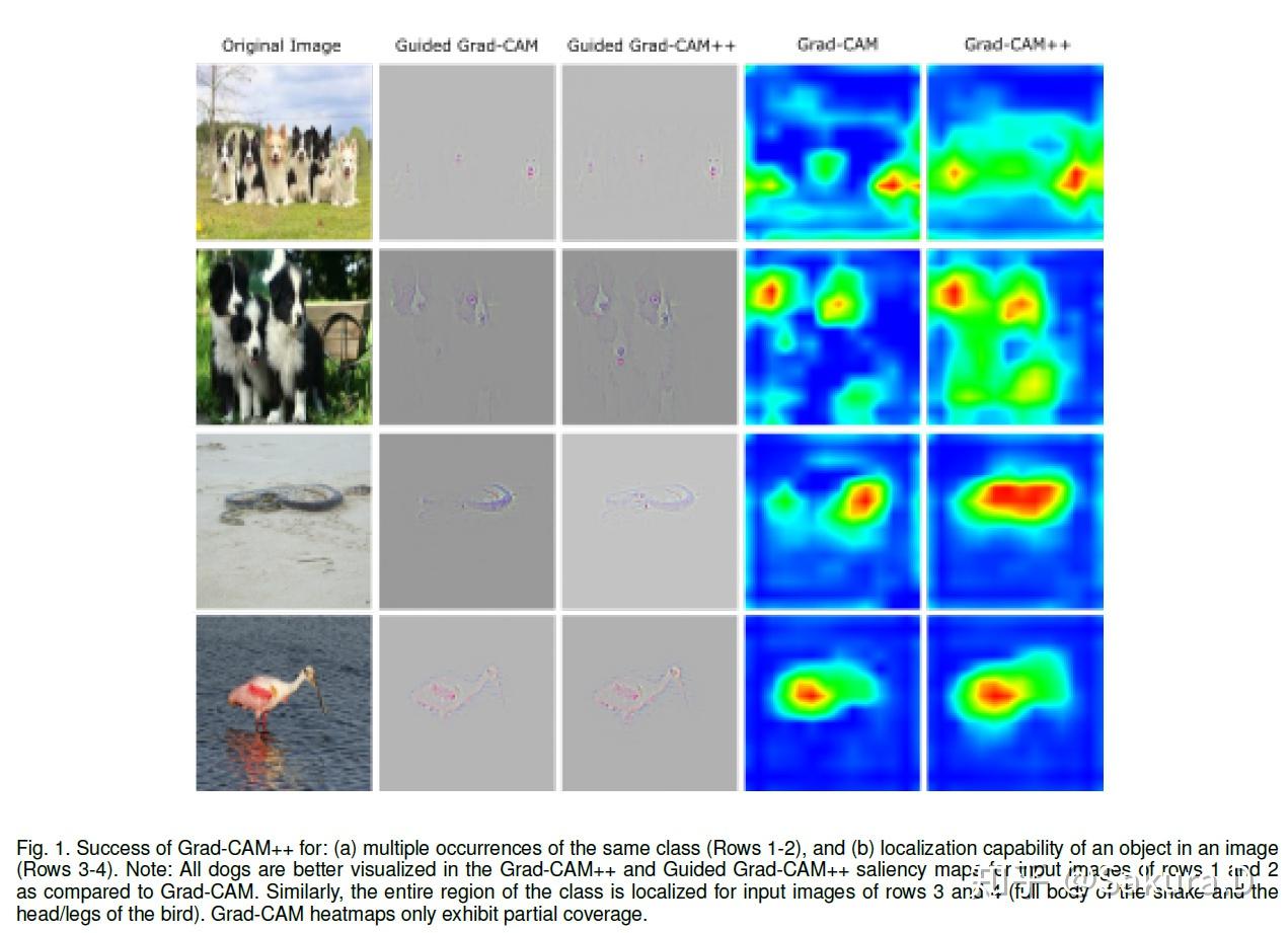 CNN可视化Grad-CAM - 知乎