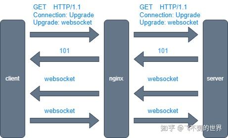浅析nginx实现websocket原理 - 知乎