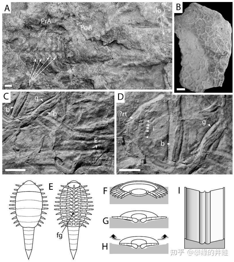 【地球演义】第二百八十八回 Last Breath - 知乎