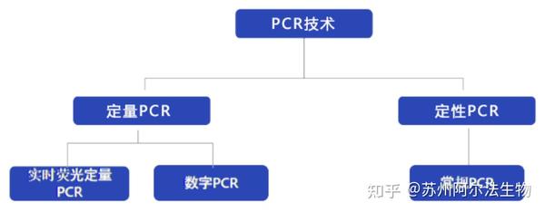 PCR检测技术介绍 - 知乎