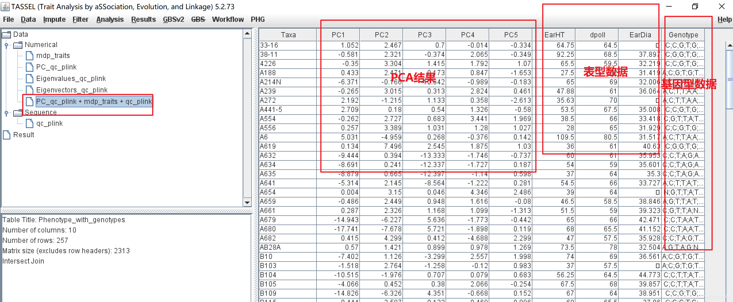 使用TASSEL学习GWAS笔记（5/6）：混合线性模型进行GWAS分析（MLM模型） - 知乎