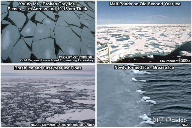 北极（2. 海冰） - 知乎