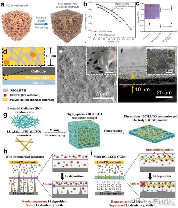 武汉理工大学徐林教授CEJ：3D框架填料在复合聚合物电解质中的研究进展 - 知乎