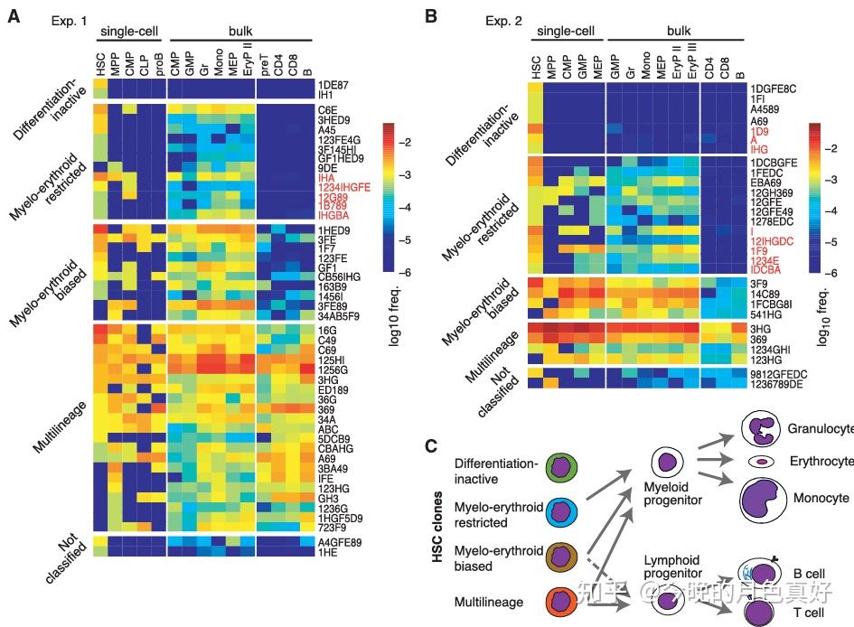 每天一篇单细胞55-PolyloxExpress Barcoding---谱系示踪加单细胞转录组 - 知乎