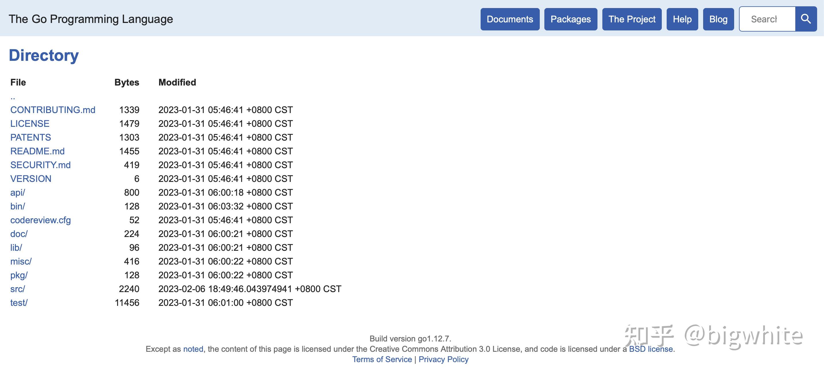 聊聊godoc、go doc与pkgsite - 知乎