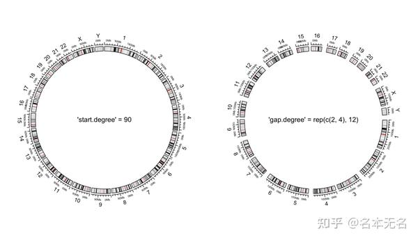 R 数据可视化 —— circlize 基因组初始化 - 知乎